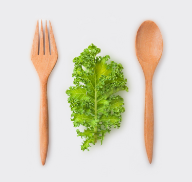 Plant Protein Ingredient Innovator, Manufacturer | Proeon