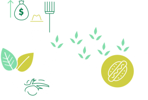 Plant Based Protein Ingredient Innovator | Proeon