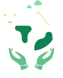 Plant Based Protein Ingredient Innovator | Proeon