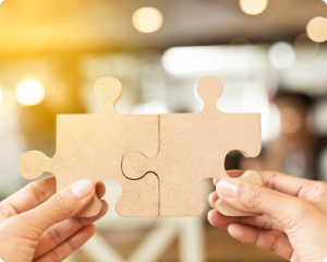 Ingredients - Proeon