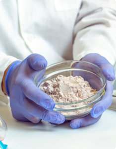 Leading Plant-Based Protein Manufacturer in India - Proeon