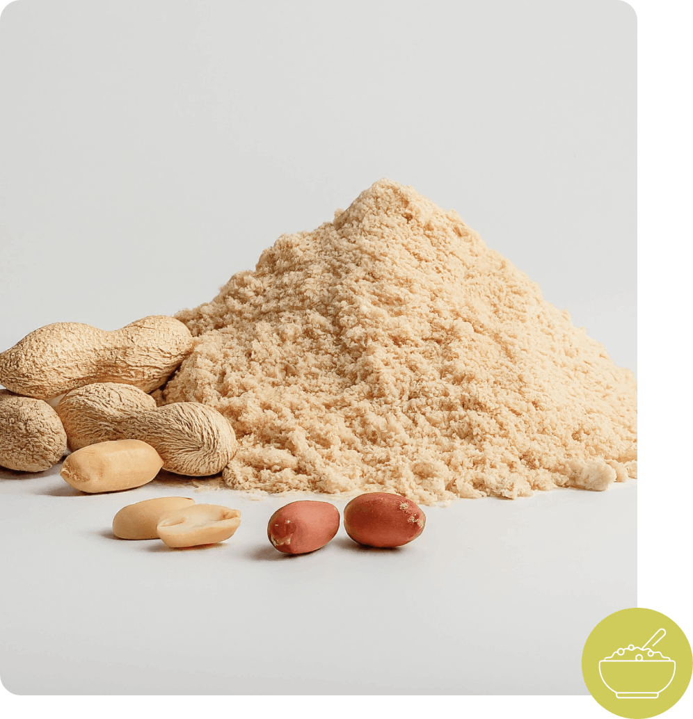 Plant Based Protein Ingredient Innovator | Proeon